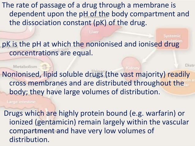 Pharmacokinetics absorption,distribution,metabolism,excretion | PPTX ...