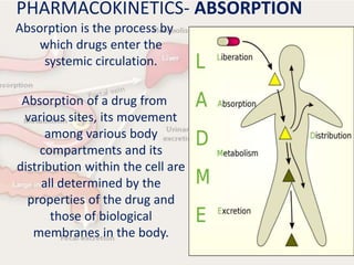 Pharmacokinetics absorption,distribution,metabolism,excretion | PPTX