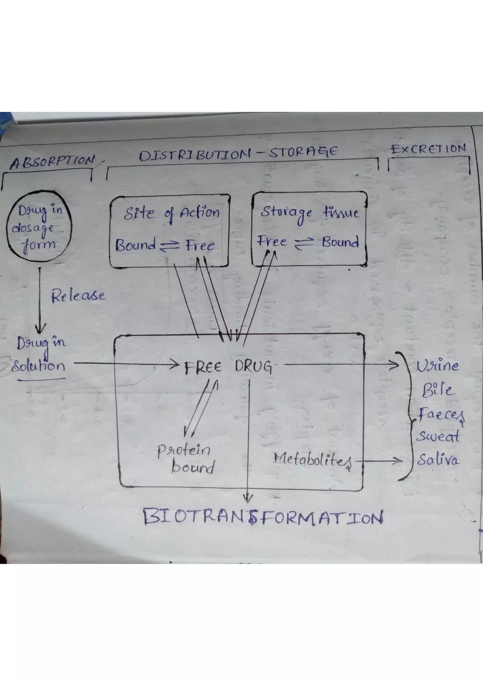 Pharmacokinetics - ADME , factors influencing Absorption, Distribution ...