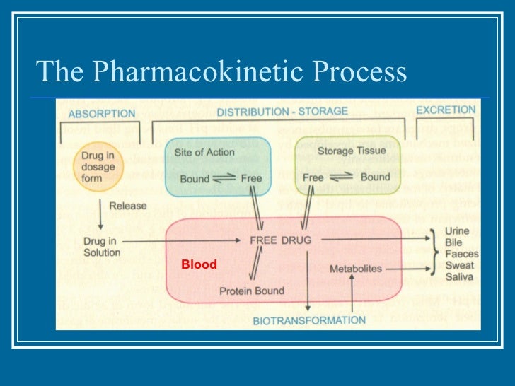 Pharmacokinetics (updated 2011) - drdhriiti