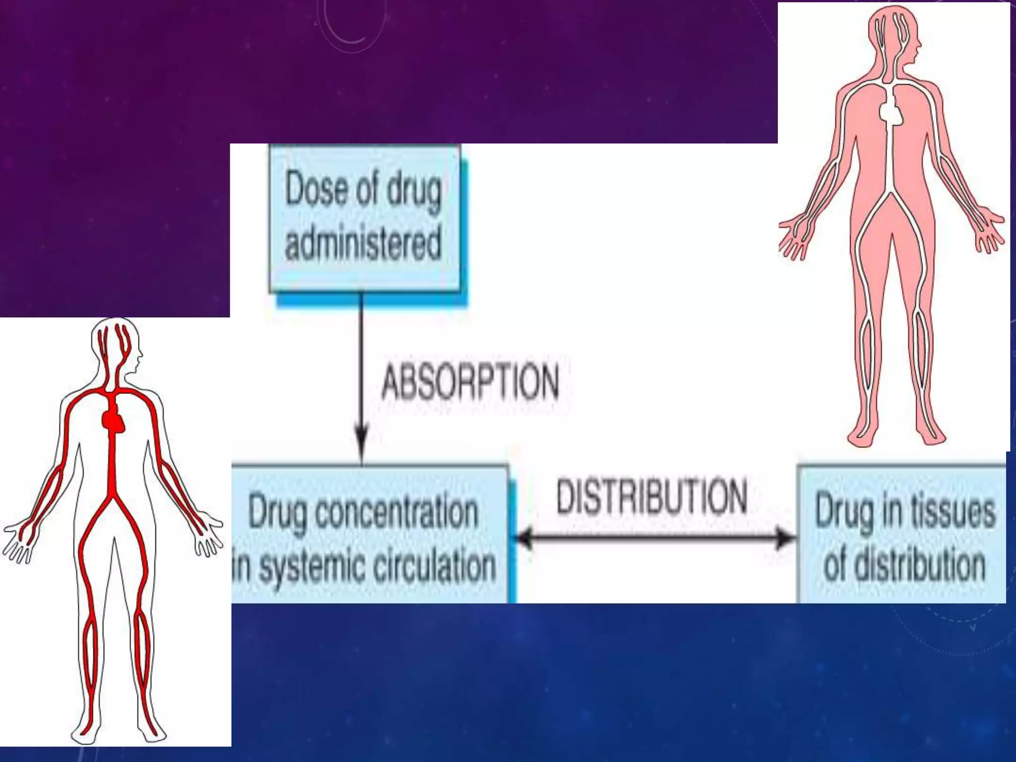 Pharmacokinetics Drug Distribution | PPTX