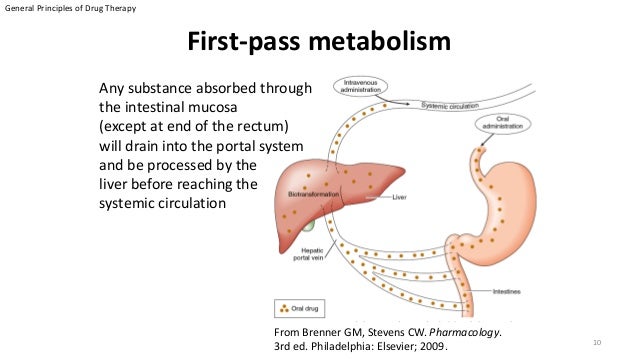 Pharmacokinetics I-ADME