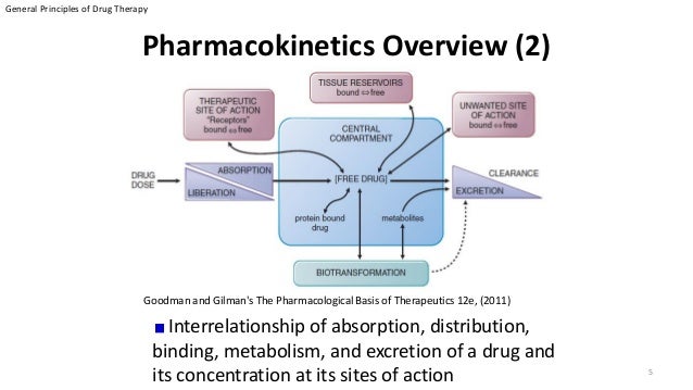 Pharmacokinetics I-ADME