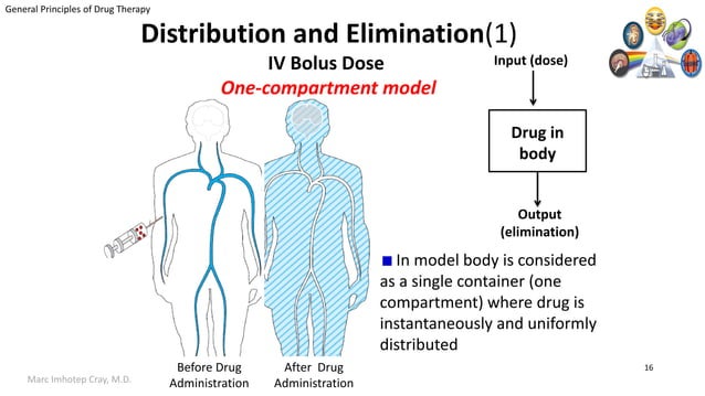 Pharmacokinetics II: Basic Concepts and Drug Clearance | PDF
