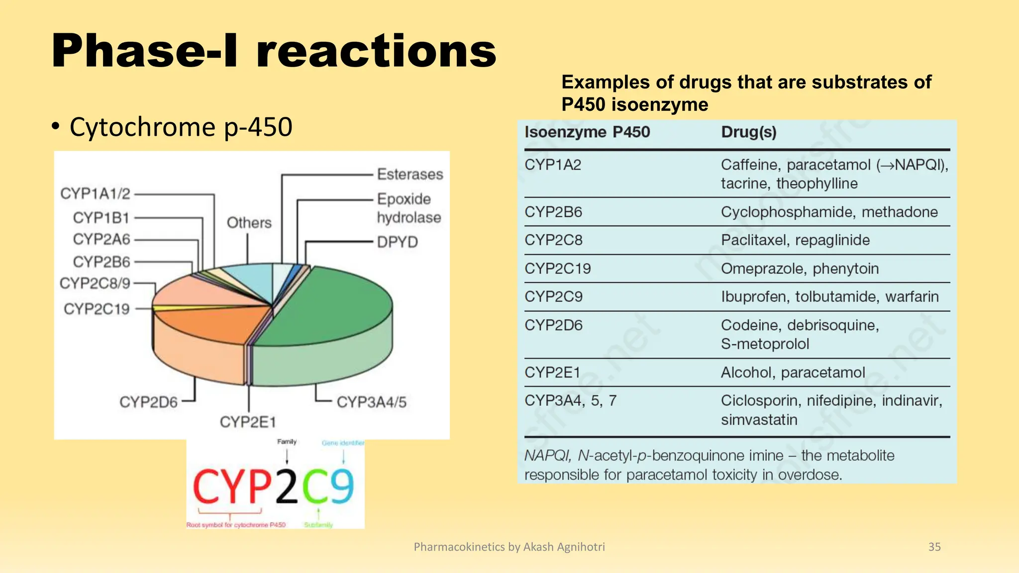 Pharmacokinetics of Drugs: Introduction to Pharmacology | PPTX