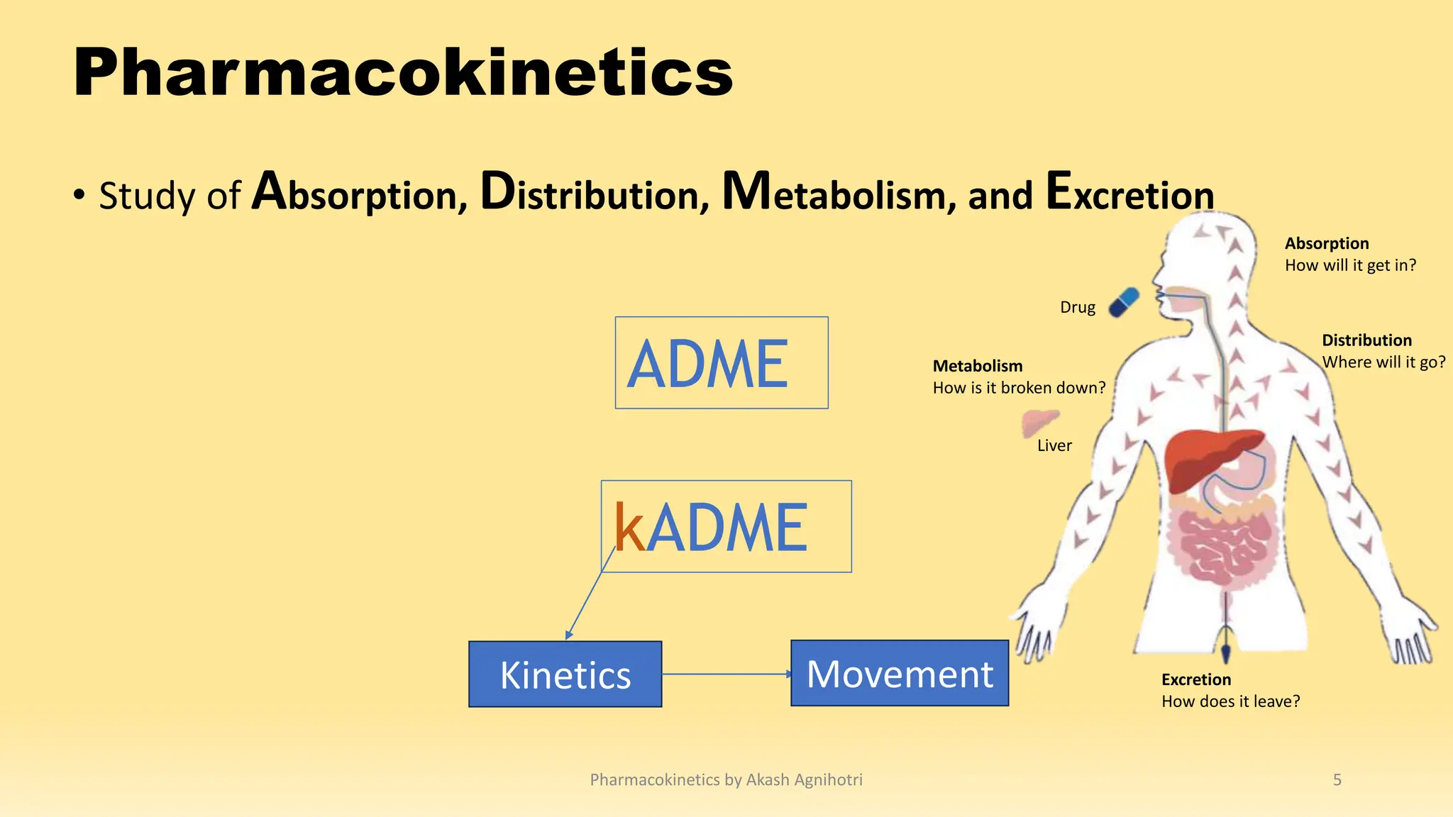 Pharmacokinetics of Drugs: Introduction to Pharmacology | PPTX