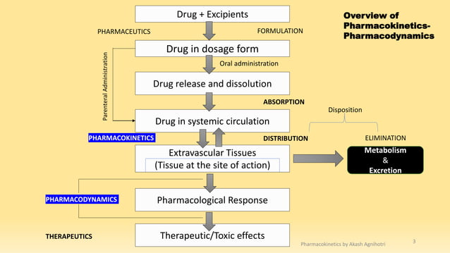 Pharmacokinetics of Drugs: Introduction to Pharmacology | PPTX