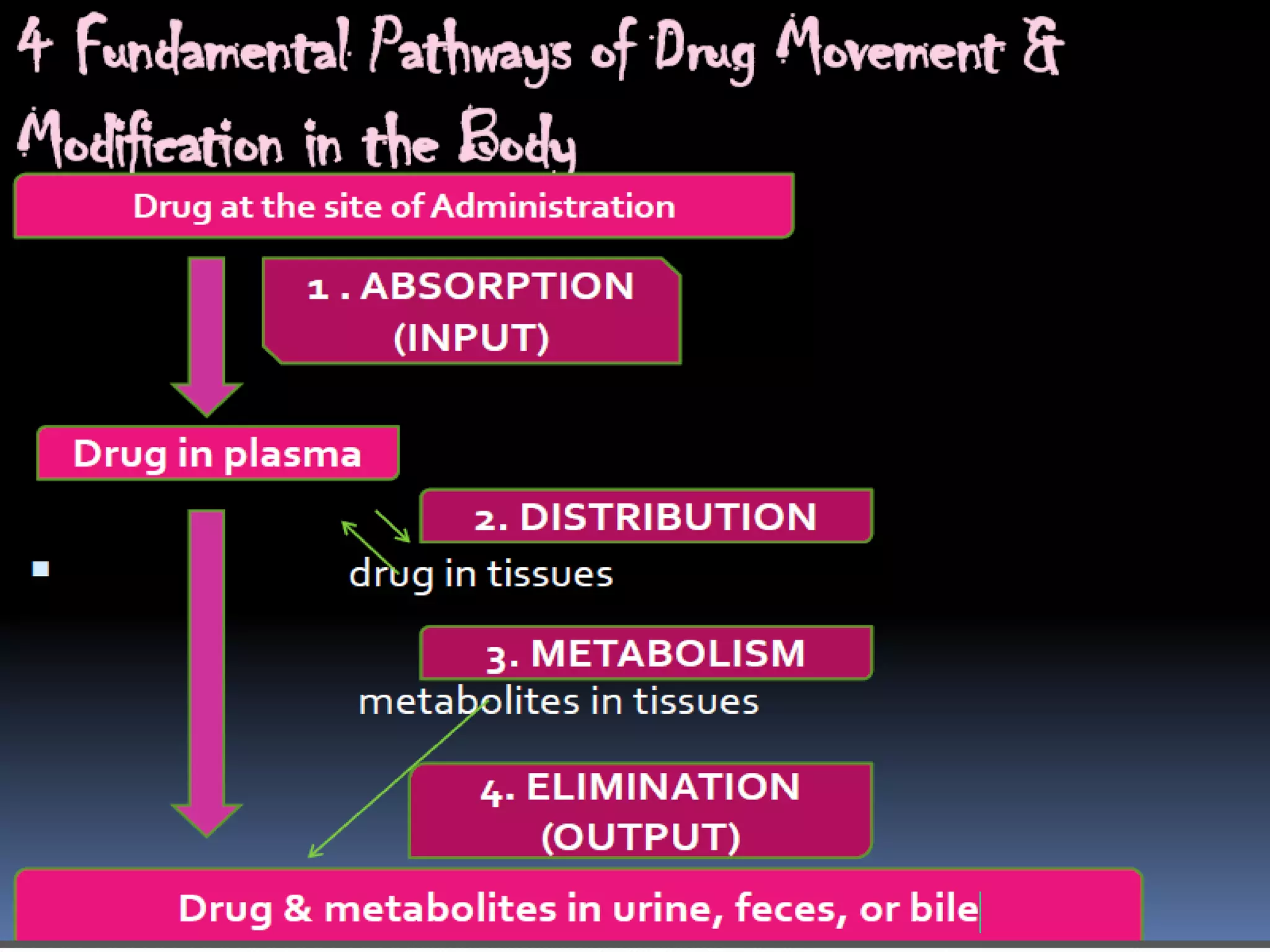 pharmacokinetics (1).pptx