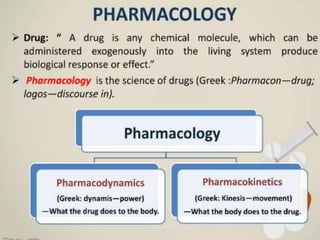 Pharmacokinetics (1).ppt