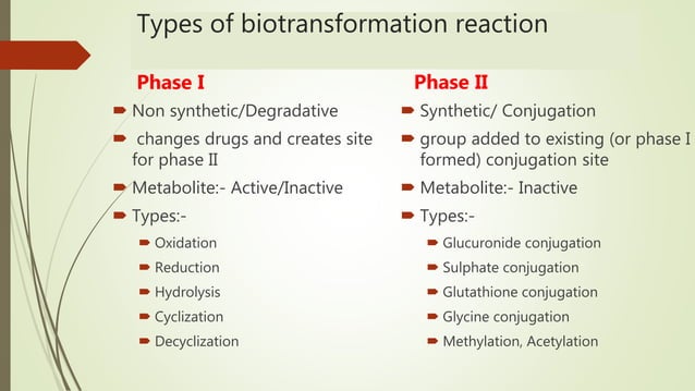 Biotransformation | PPTX | Endocrine and Metabolic Diseases | Diseases and Conditions