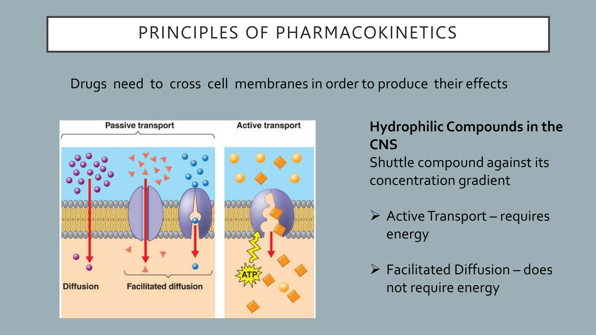 Pharmacokinetics and Pharmacodynamics.pptx