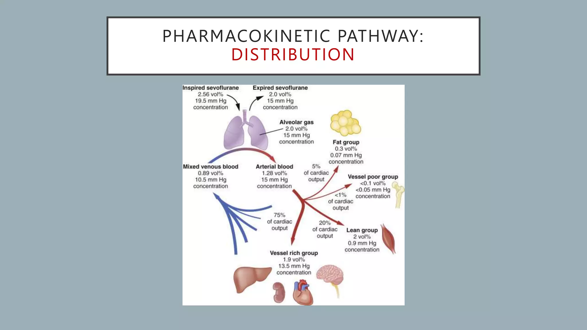 Pharmacokinetics and Pharmacodynamics.pptx