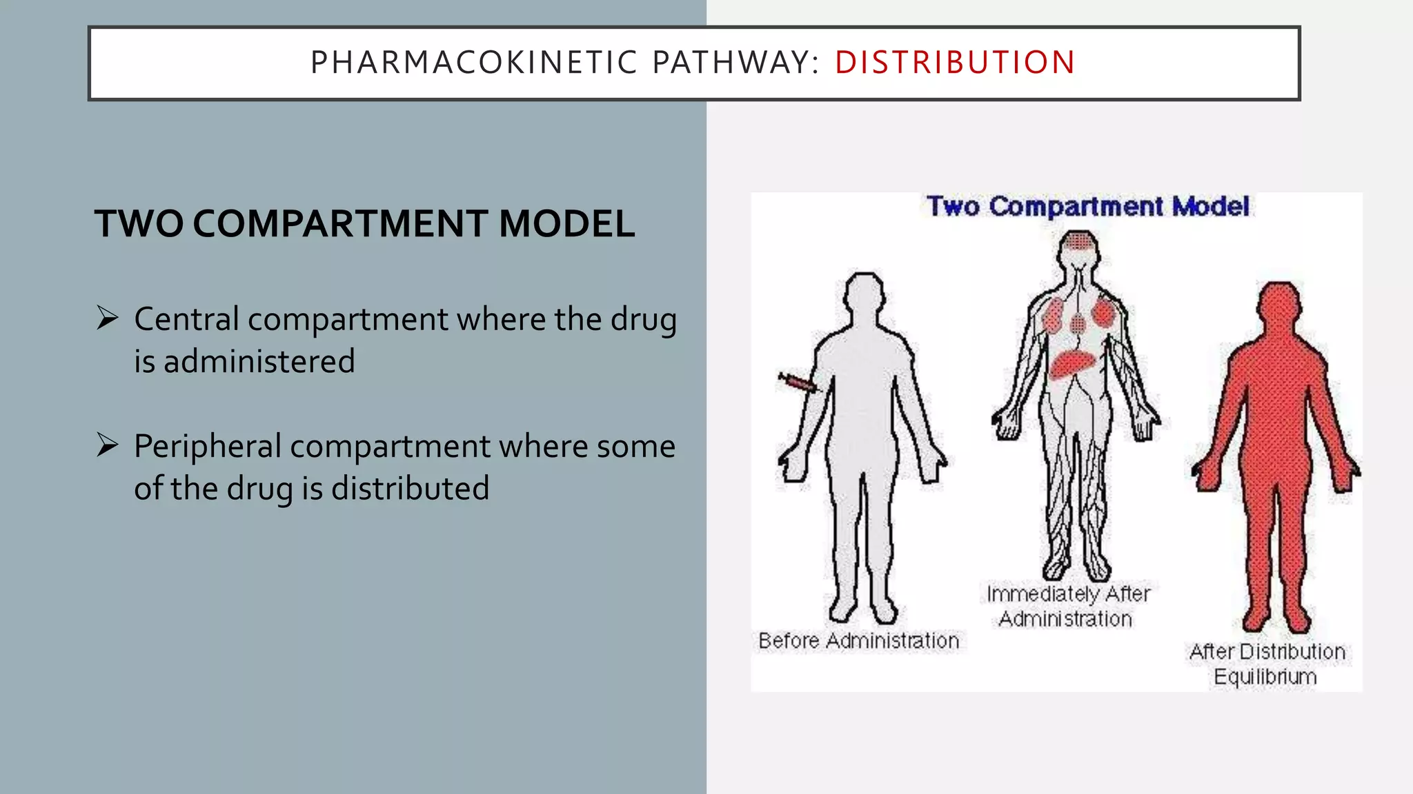 Pharmacokinetics and Pharmacodynamics.pptx