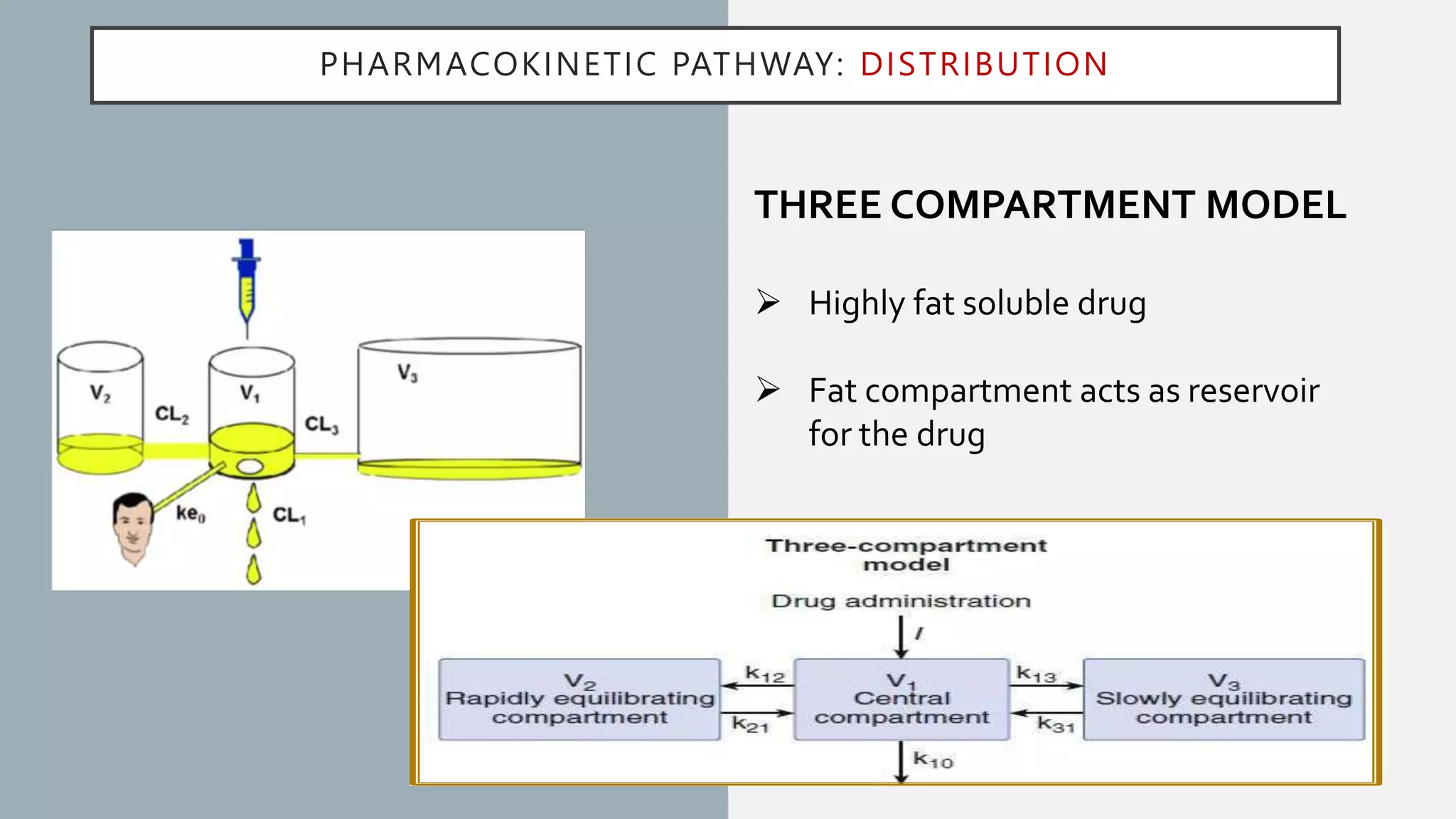 Pharmacokinetics and Pharmacodynamics.pptx