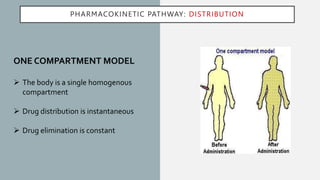 Pharmacokinetics and Pharmacodynamics.pptx