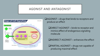 Pharmacokinetics and Pharmacodynamics.pptx