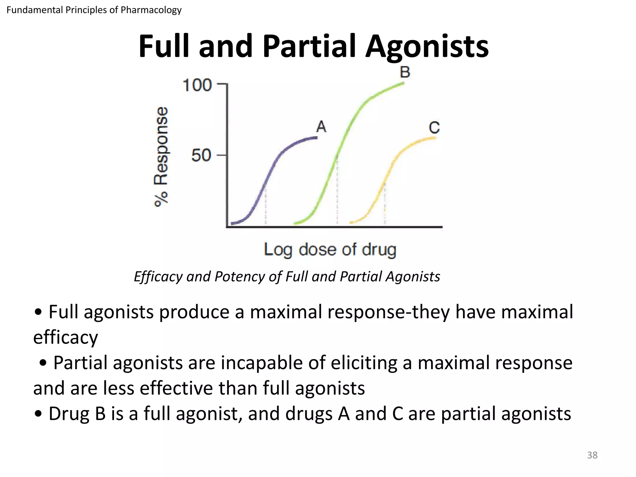 Pharmacokinetics and Pharmacodynamics| A Synopsis | PDF