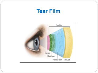 Pharmacokinetics and toxicology of ocular therapy | PPTX