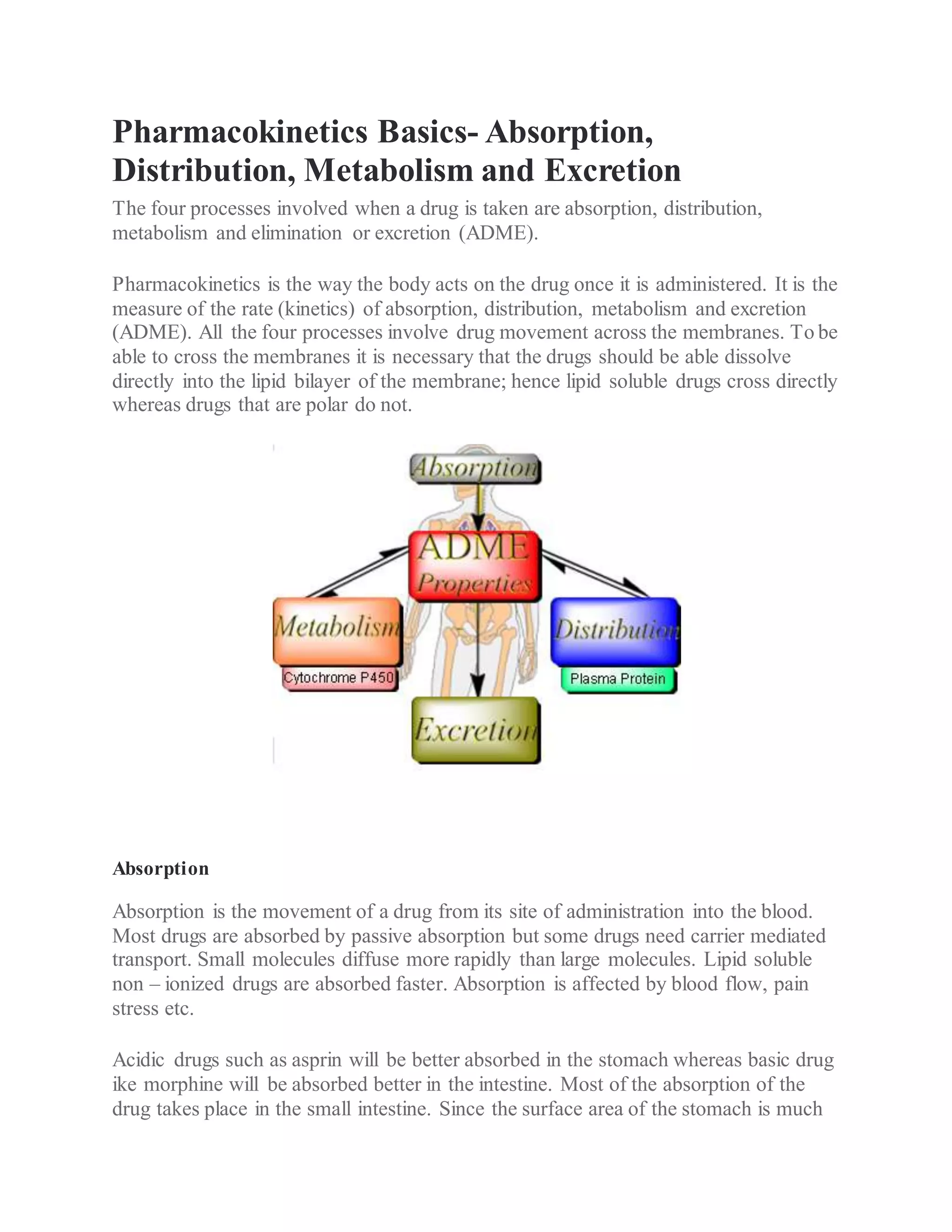 Pharmacokinetics basics | DOCX