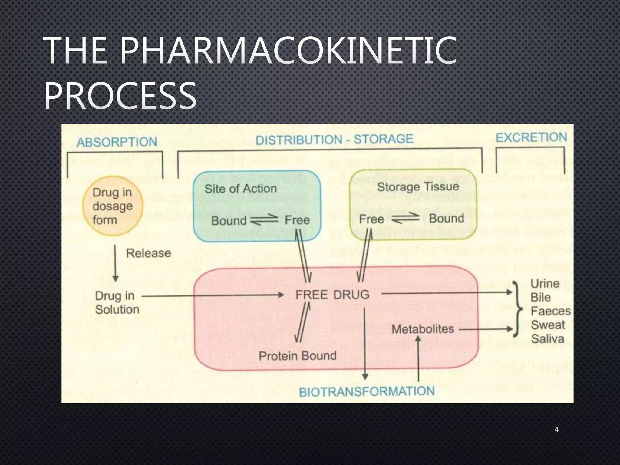 pharmacokineticsclass.pptx