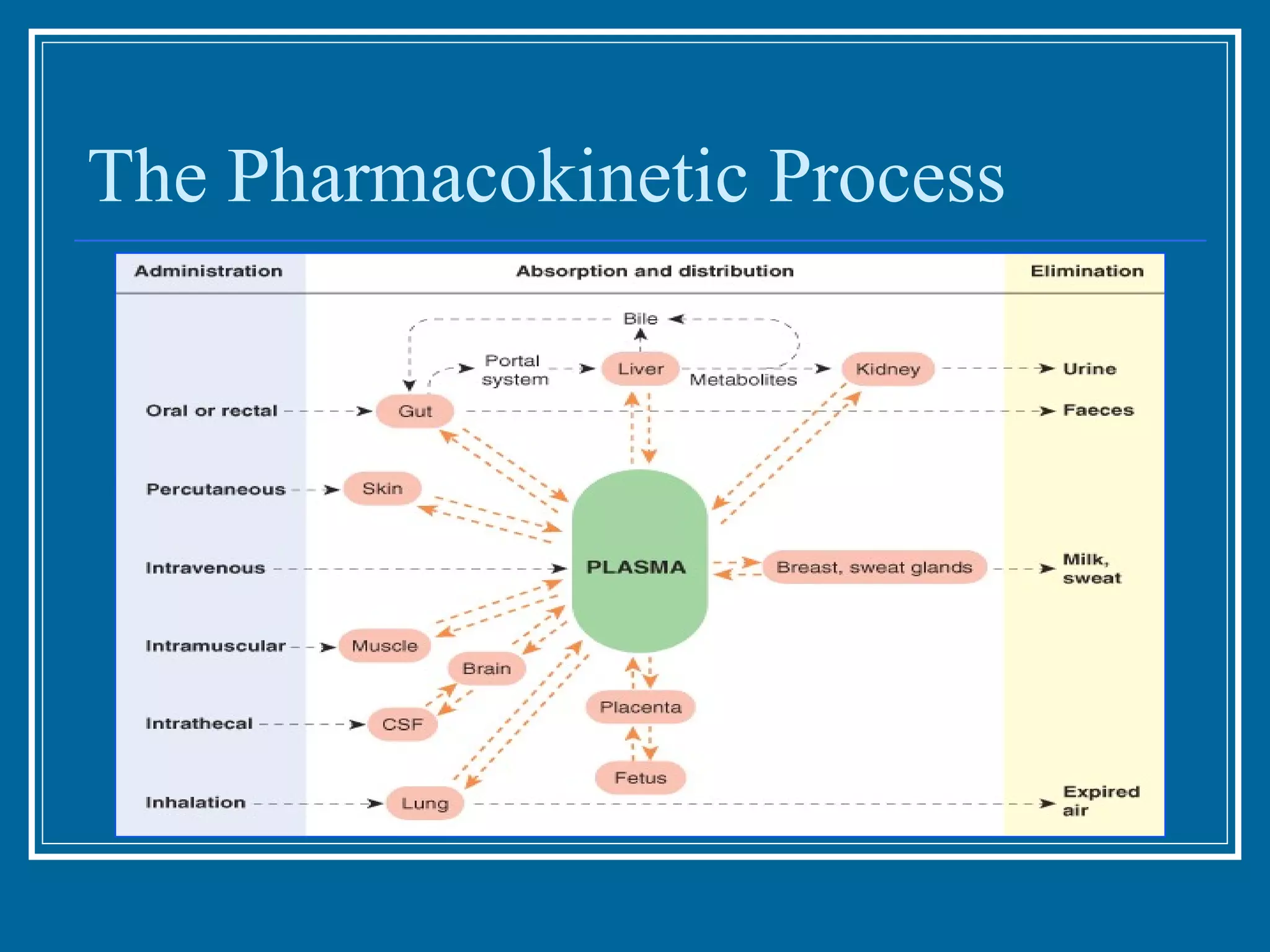 Pharmacokinetics - drug absorption, drug distribution, drug metabolism ...