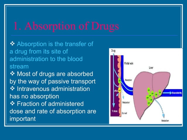 Pharmacokinetics - drug absorption, drug distribution, drug metabolism ...