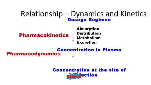 Pharmacokinetics | PPT | Chemistry | Science
