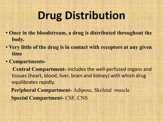 Pharmacokinetics lecture i | PPT