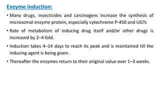 Pharmacokinetics metabolism and excretion | PPTX