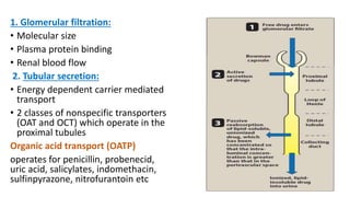 Pharmacokinetics metabolism and excretion | PPTX