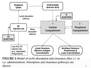 Pharmacokinetics of biotherapeutics. | PPTX