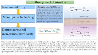 Pharmacokinetics of Drug_Pharmacology Course_Muhammad Kamal Hossain.pptx