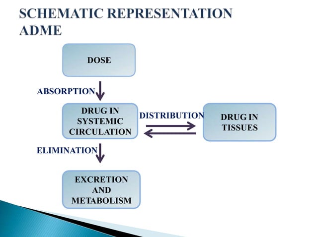 Pharmacokinetics & Pharmacodynamic models, Tolerance, Hypersensitivity ...