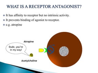 Pharmacokinetics & Pharmacodynamic models, Tolerance, Hypersensitivity ...
