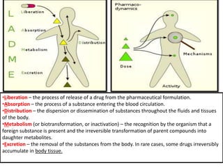 Pharmacokinetics and Pharmacodynamics (Pharmaceutical Biotechnology ...