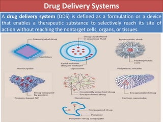 Pharmacokinetics and Pharmacodynamics (Pharmaceutical Biotechnology ...
