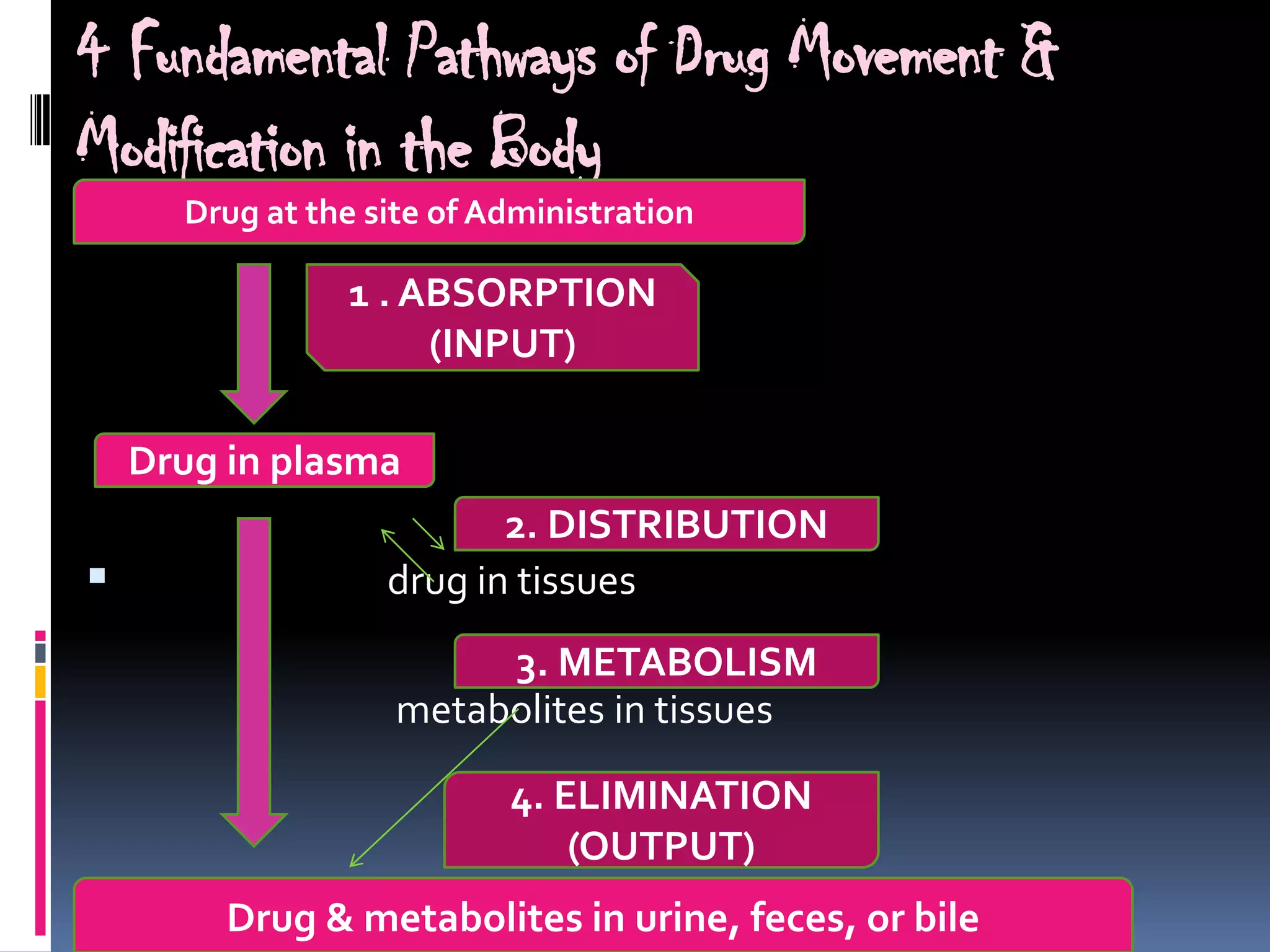 Pharmacokinetics ppt | PPTX