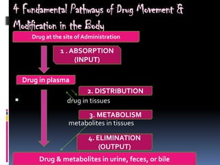 Pharmacokinetics ppt | PPTX