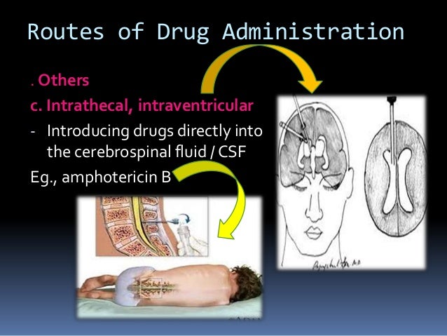 Pharmacokinetics