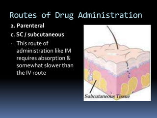 pharmacokineticsppt-4.pdfghjjjjkkkkkkkkkkjjj | PPT