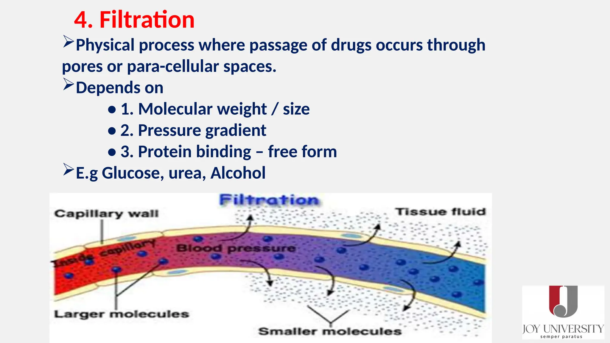 PHARMACOKINETICS - Absorption (Transport) | PPTX