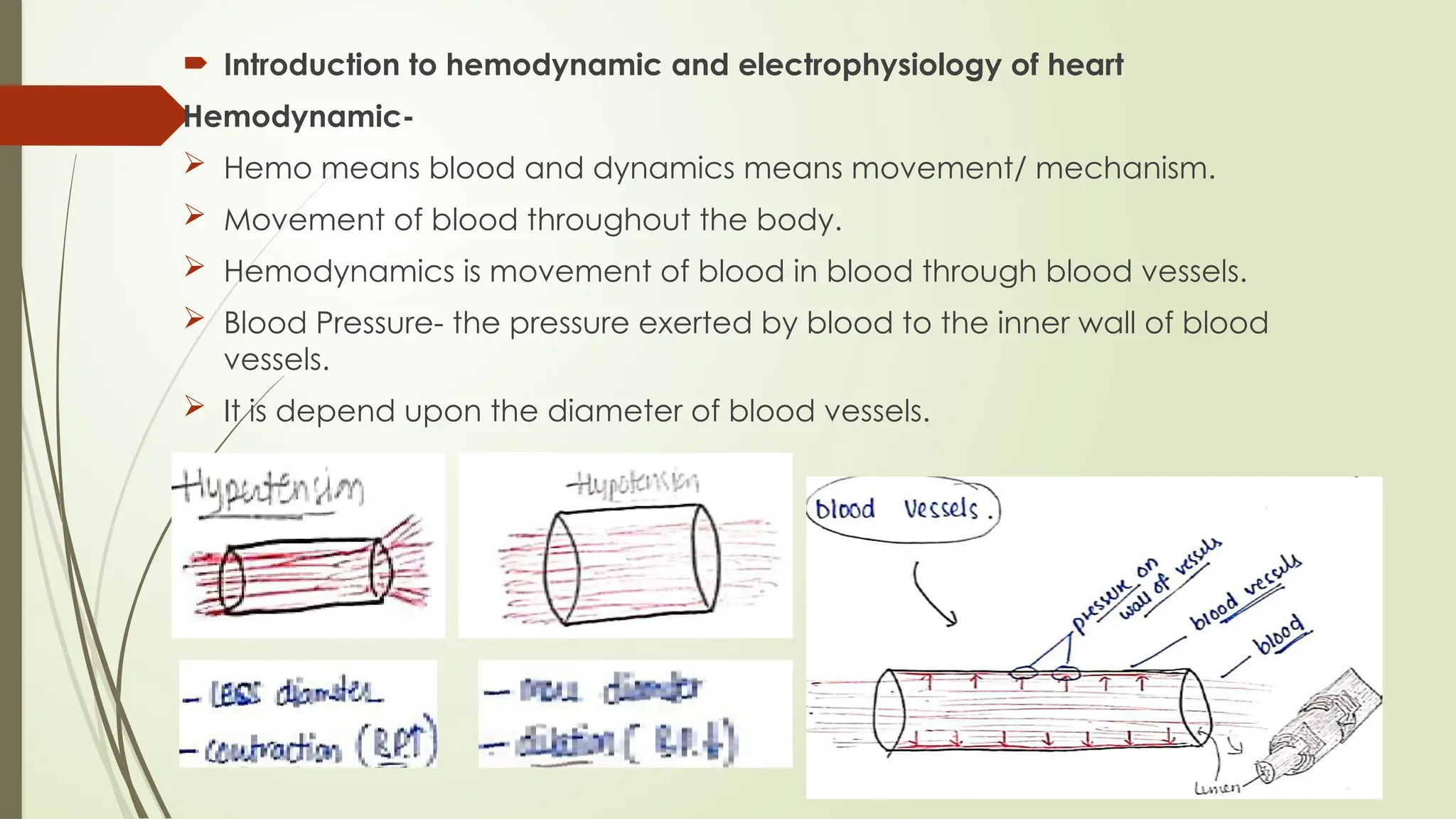 Introduction to Hemodynamic and electrophysiology of heart | PPTX