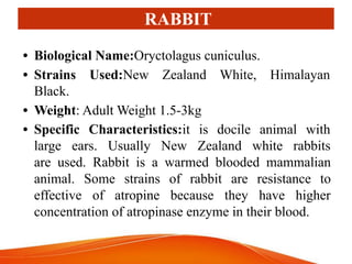 Pharmacolgy practical.pptx