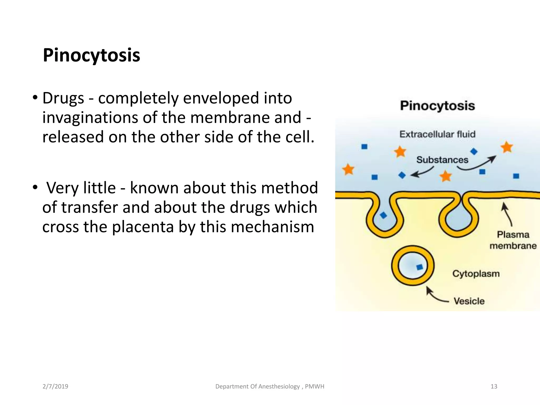 Pharmacological agents in obs and placental transfer of drugs | PPTX