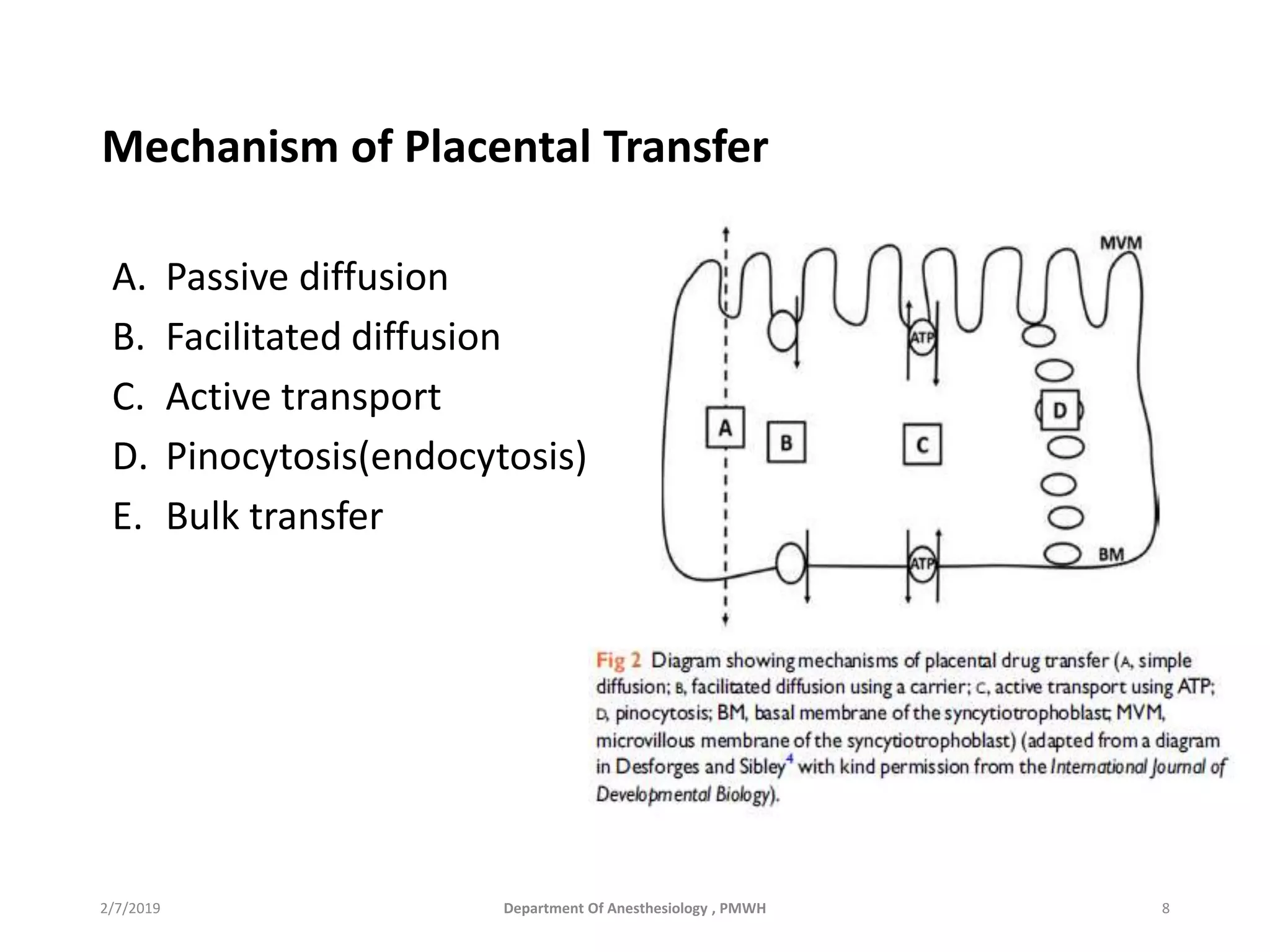 Pharmacological agents in obs and placental transfer of drugs | PPTX