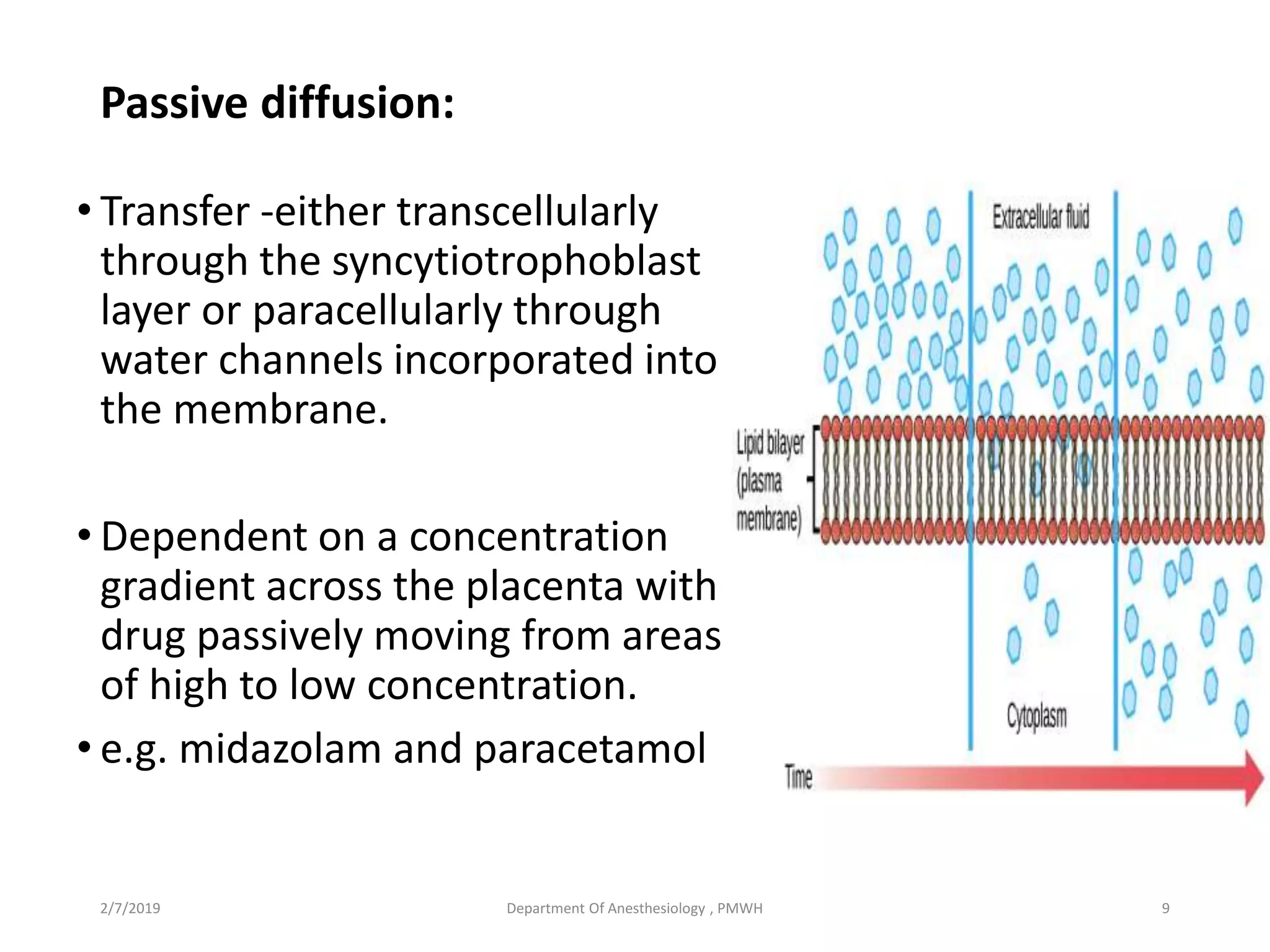 Pharmacological agents in obs and placental transfer of drugs | PPTX
