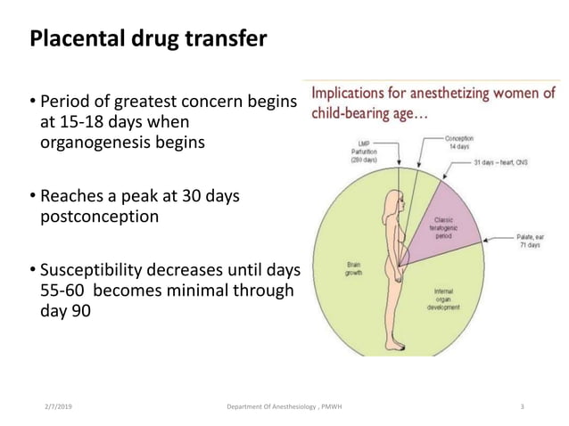 Pharmacological agents in obs and placental transfer of drugs | PPTX ...