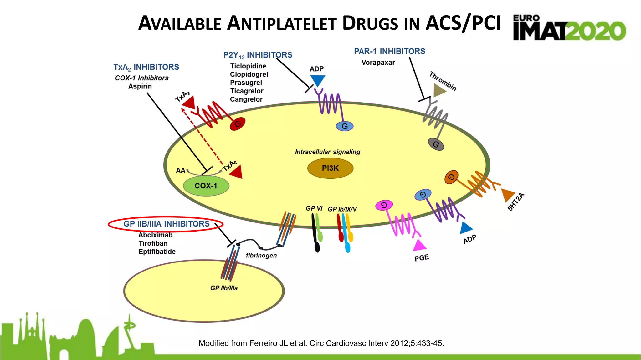 Pharmacological Characteristics of Parenteral Antiplatelet Agents - Dr ...