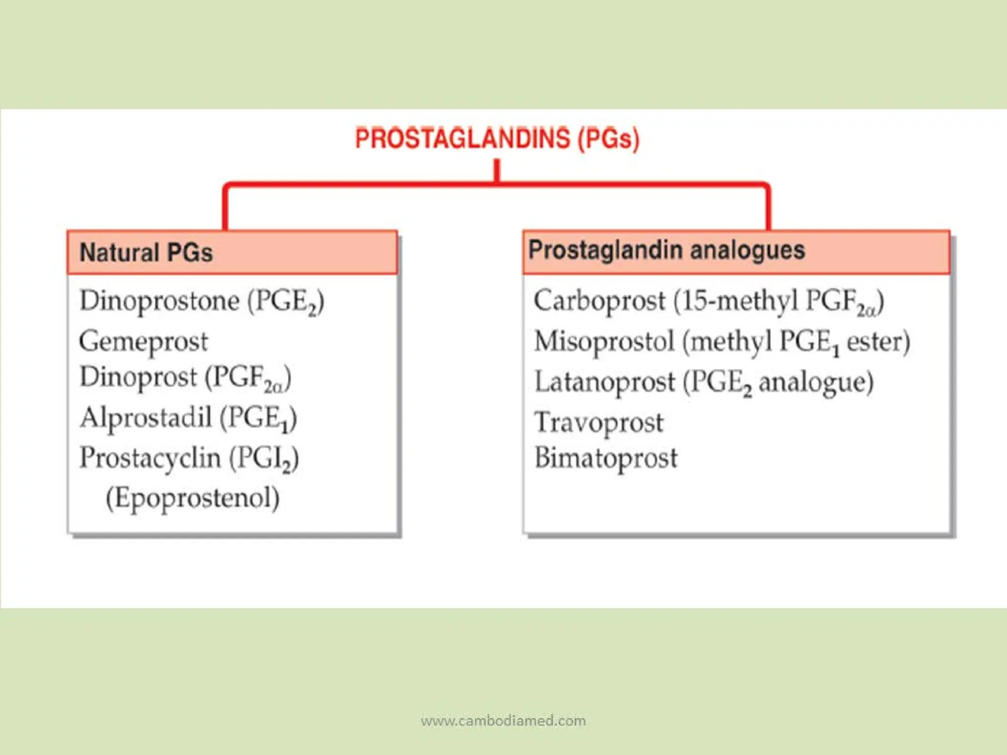 pharmacological classification of drugs from KD Tripathi | PDF
