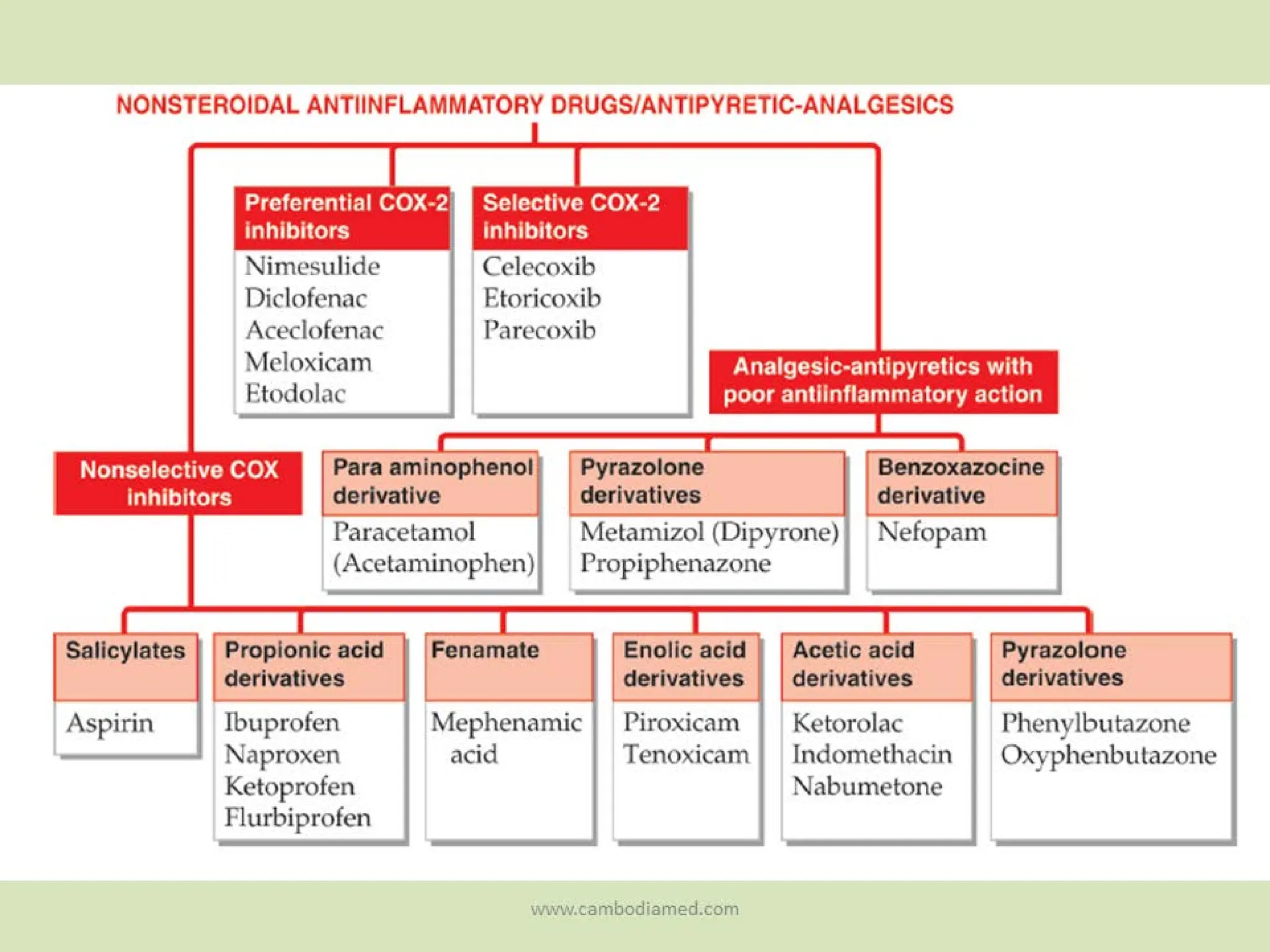 pharmacological classification of drugs from KD Tripathi | PDF